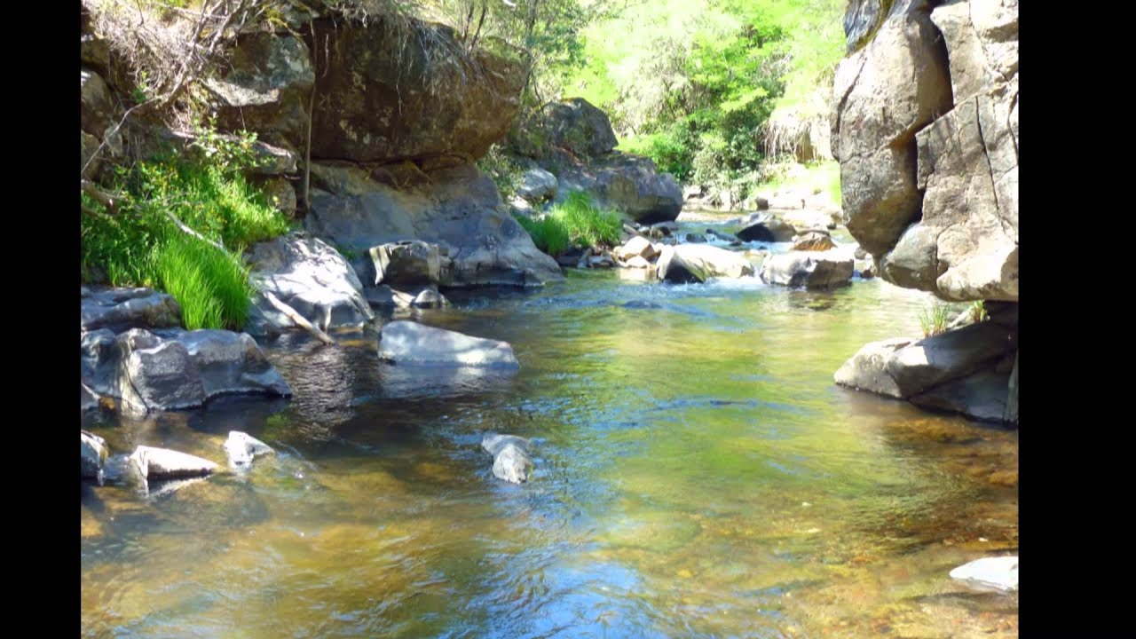 Camping Trip. GEIST CARAVAN. Buckland River_Shippens Flat_Beveridges ...