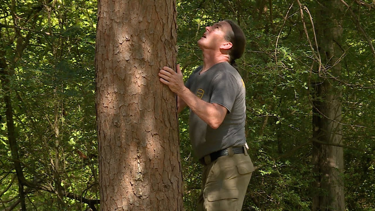 Which Way Will the Tree Fall? – This Week in the Garden - YouTube