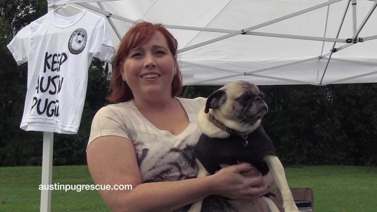 Pug Rescue of Austin, Texas - YouTube