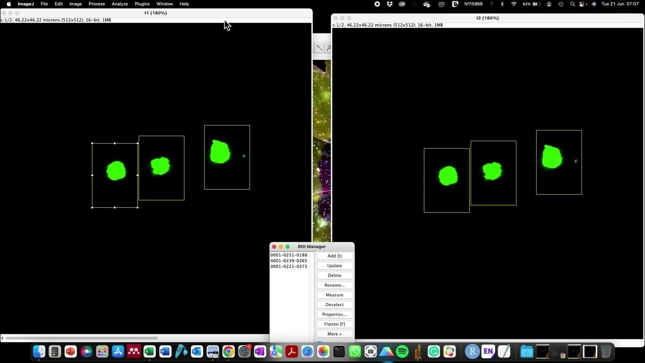 How to duplicate region of interest on different location of an image ...