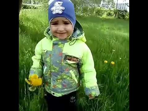 Дай конфету!!! - YouTube