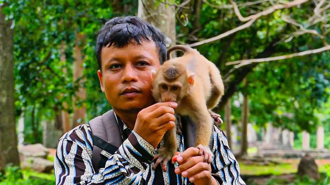 IN Love______ Brother khna walks Rainbow & Leo monkey to have dinner before bedtime - YouTube