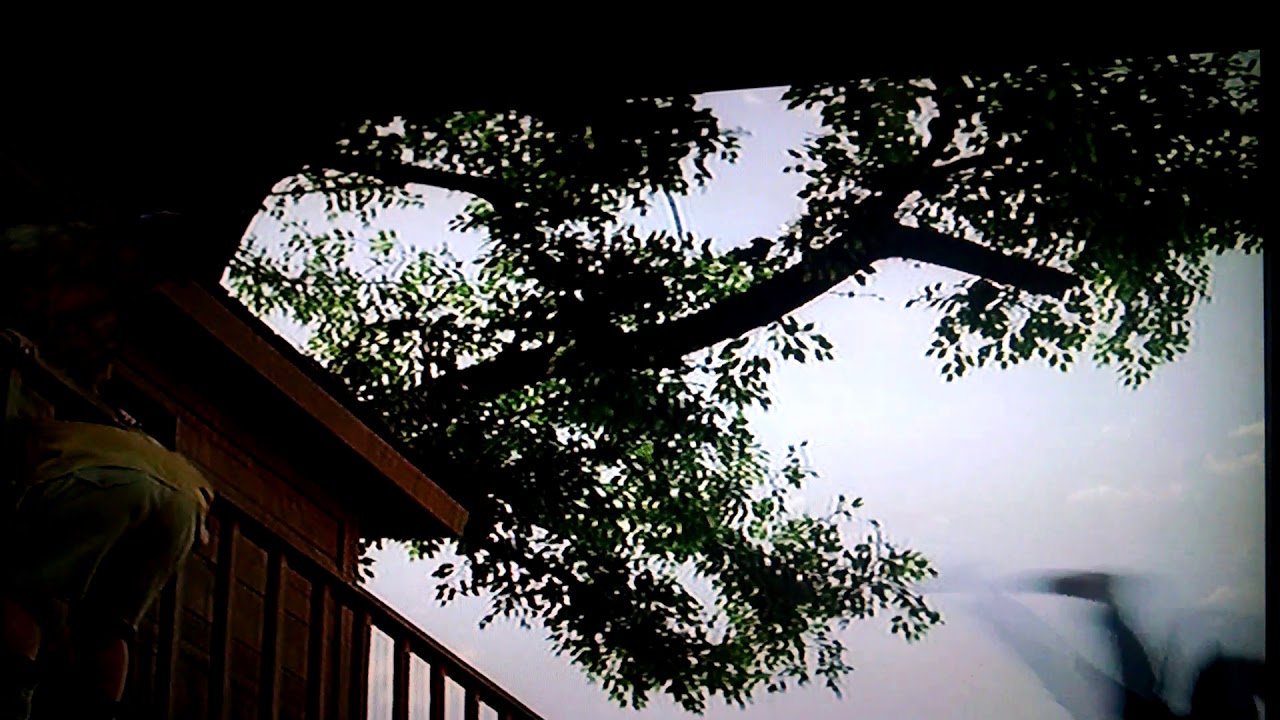 The Sandlot Falling Scene - YouTube