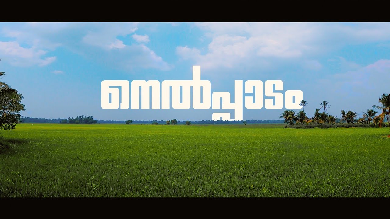 Kerala Beautiful Paddy field Alappuzha - YouTube