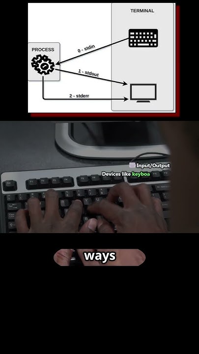 What is POSIX? | POSIX for Beginners | Why POSIX Matters - YouTube
