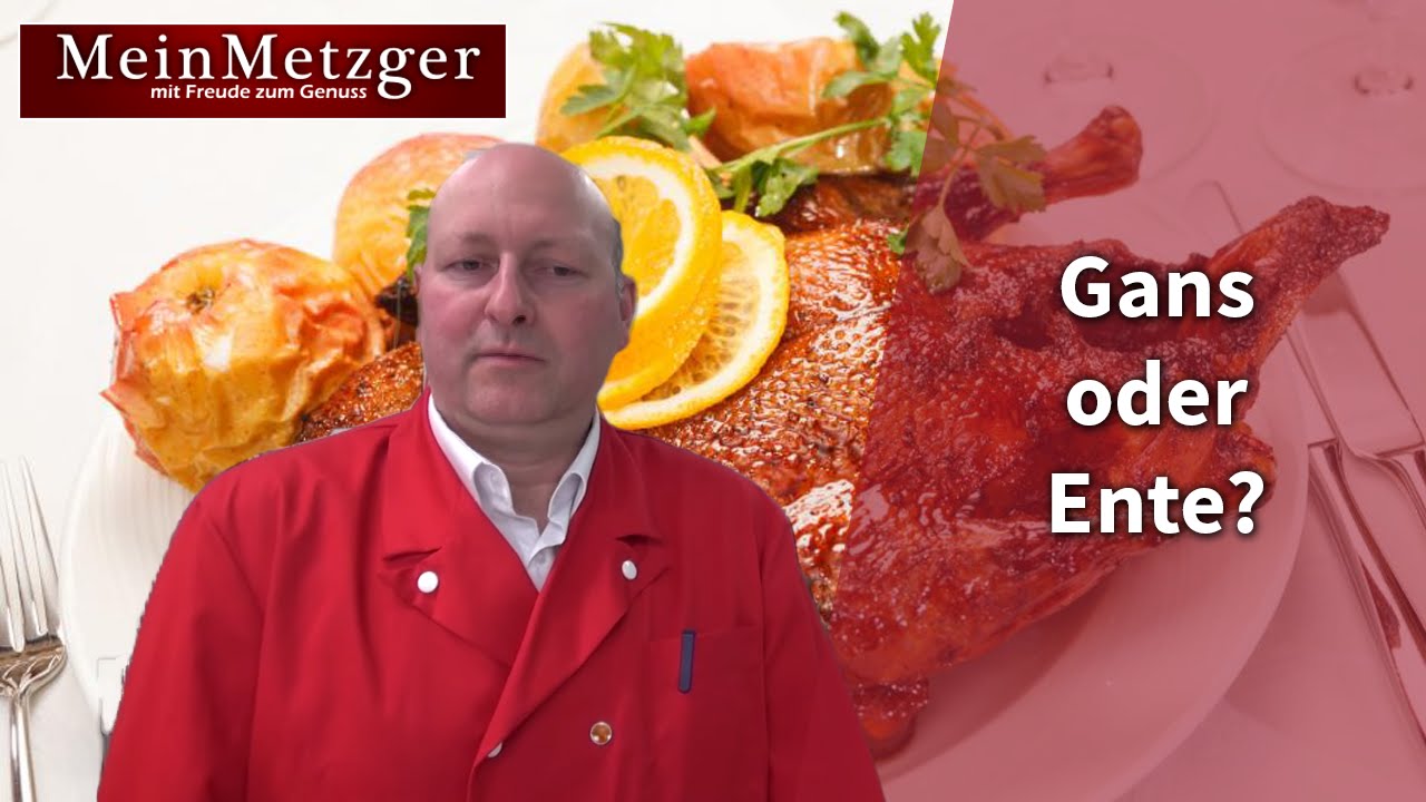 Gans oder Ente zu Weihnachten? - YouTube