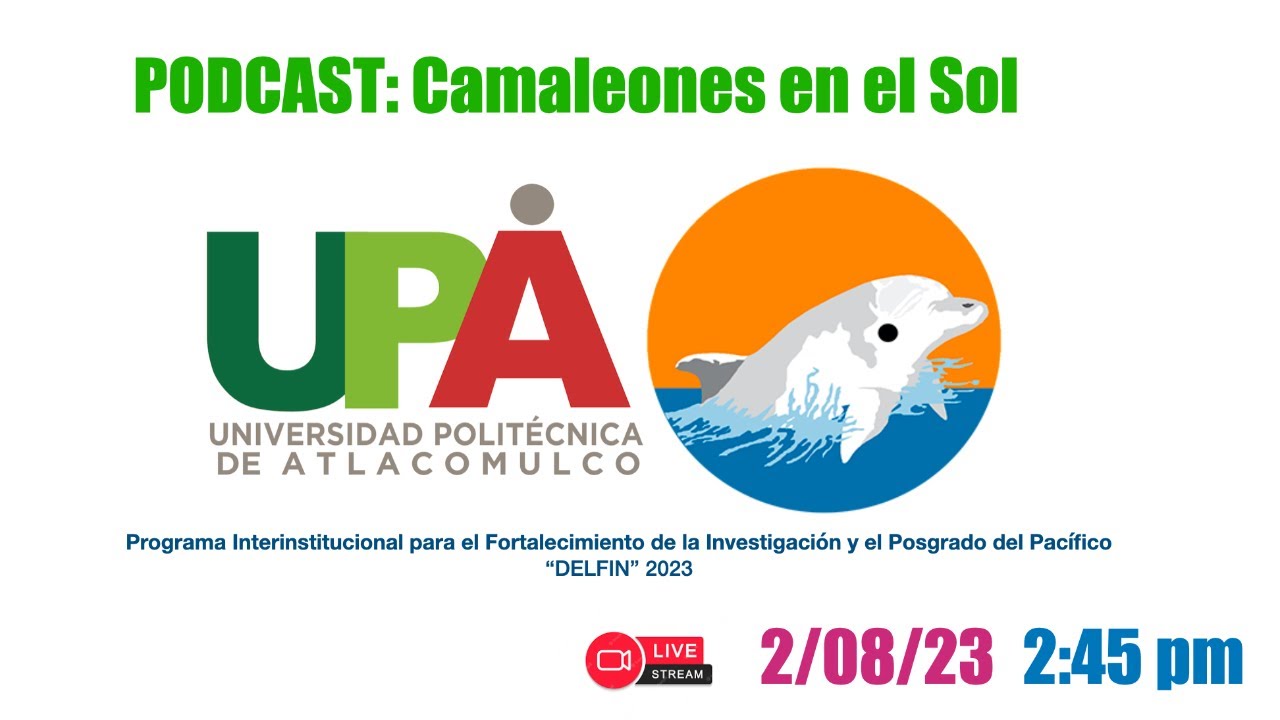 Verano Delfin 2023 en la UPA - Camaleones en el Sol - YouTube