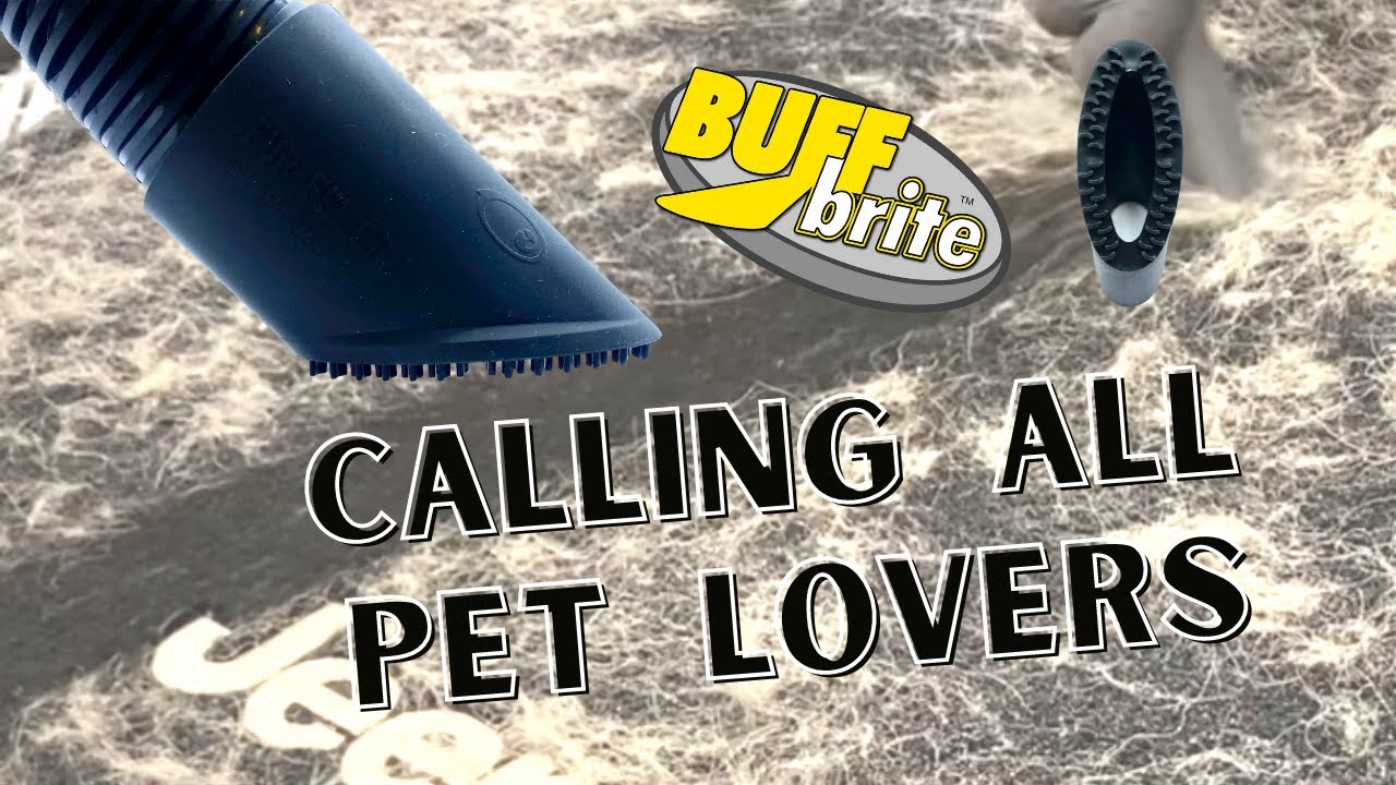 Buff Brite Fur eel (No more Pet Hair NIGHTMARES) - YouTube