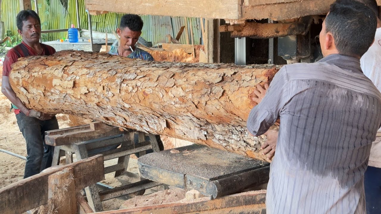 Unleashing the Magic of Wood Monster Saw Machine Revealed! - YouTube