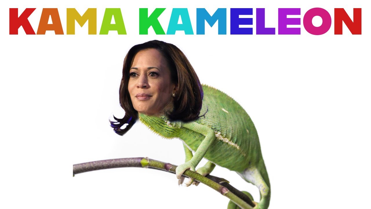 KAMA KAMA KAMA KAMELEON - YouTube