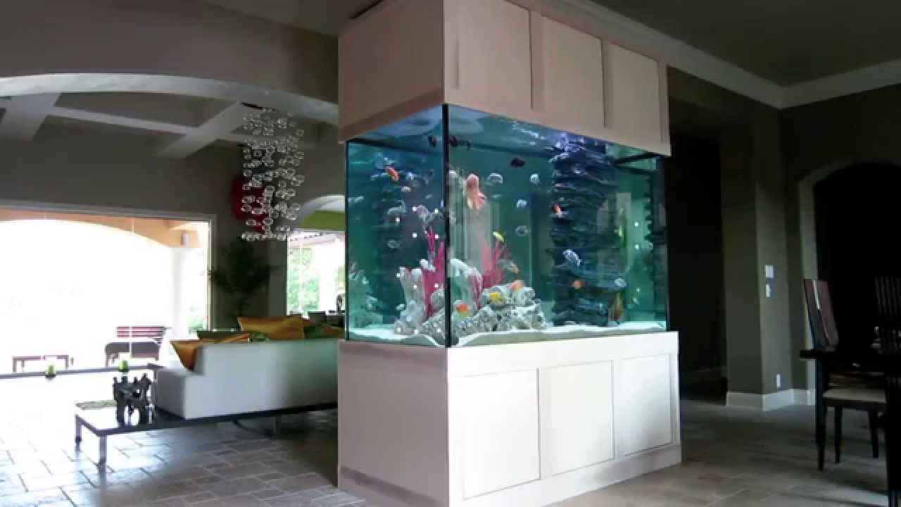 Fish Gallery Aquarium - Entryway Install - YouTube