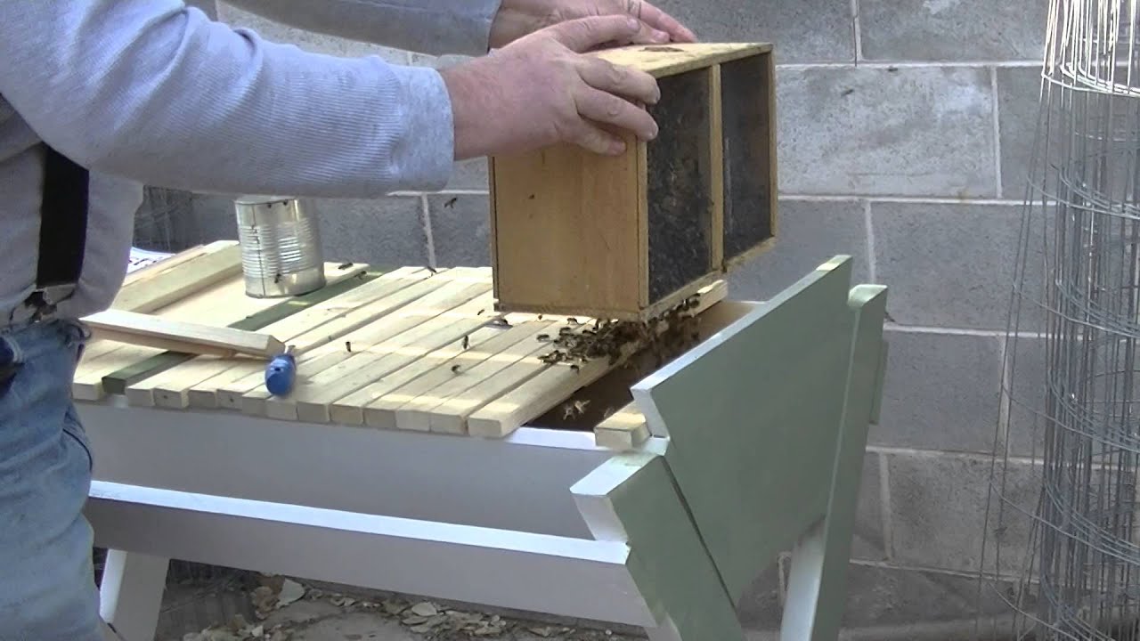Introducing Bees to a Top Bar Hive - YouTube