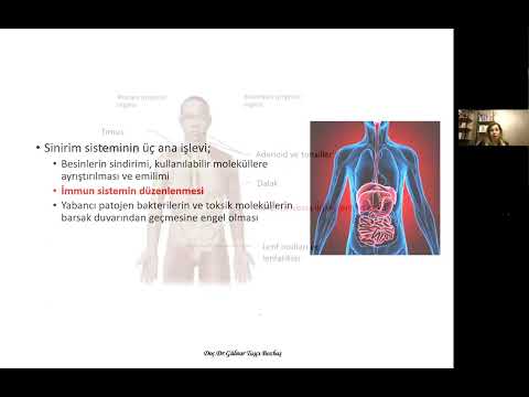 Doç. Dr. Gülnur Taşçı Bozbaş - Disbiyozis/SİBO