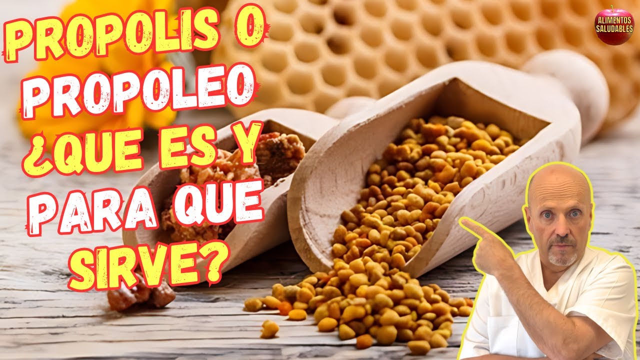 🐝 ¿QUE ES EL PROPOLIS O PROPOLEO Y PARA QUE SIRVE? 🐝 - YouTube