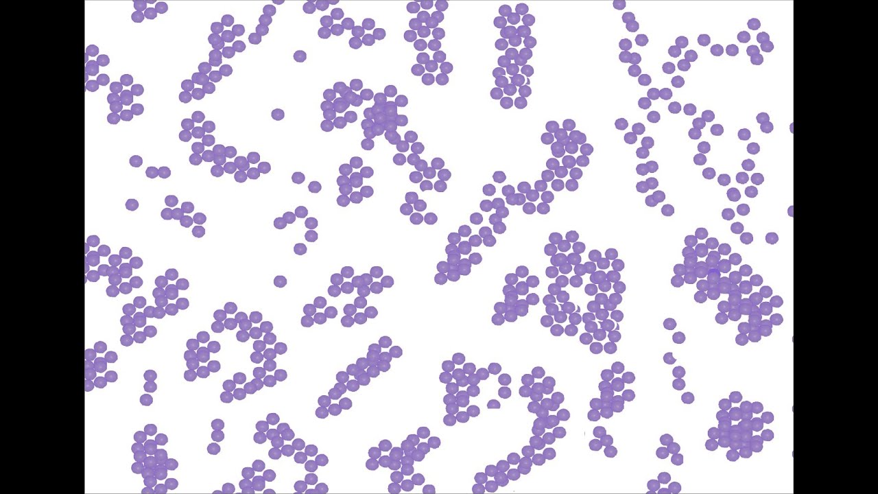 Cell Organization and Sub Cellular Structure Studies - Amrita ...