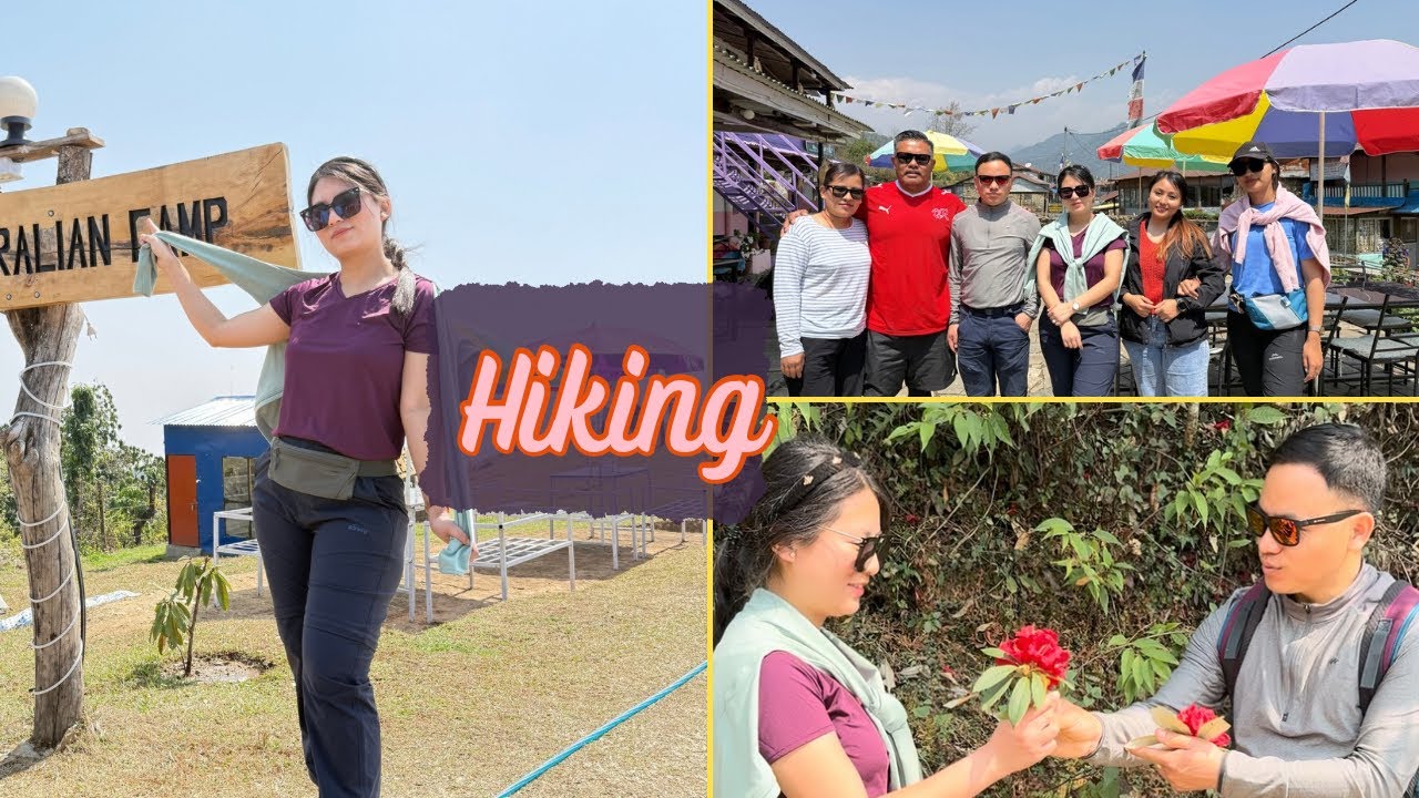 Must-Do Short Hike in Nepal | Hiking from Dhampus to Pitam Deurali via ...