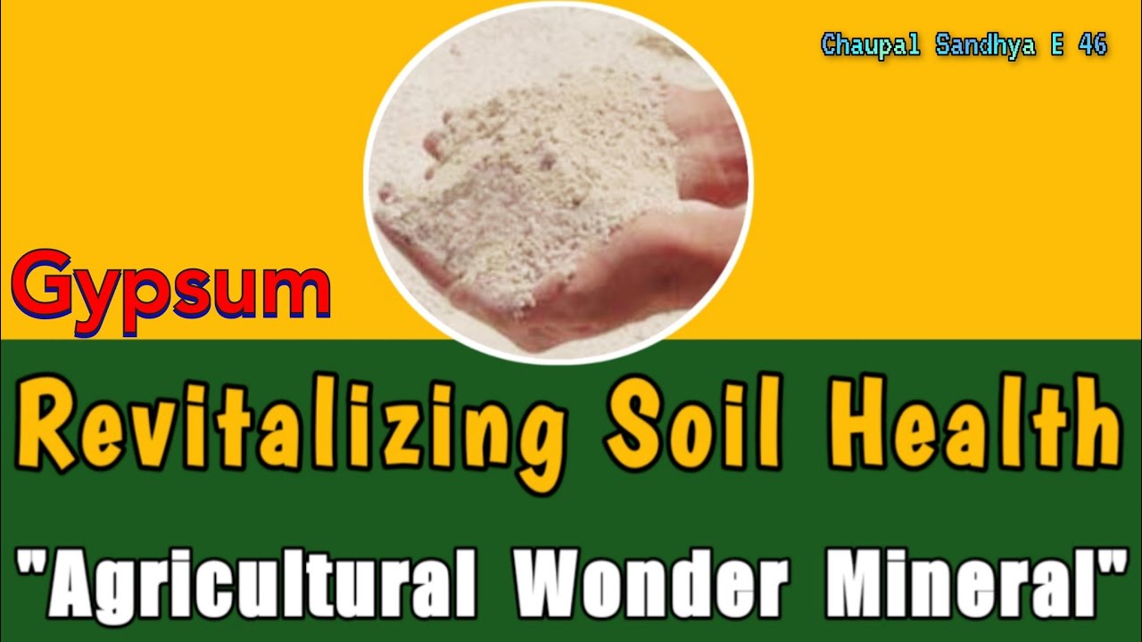 Use of Gypsum: New dimension of farming with high quality agricultural ...
