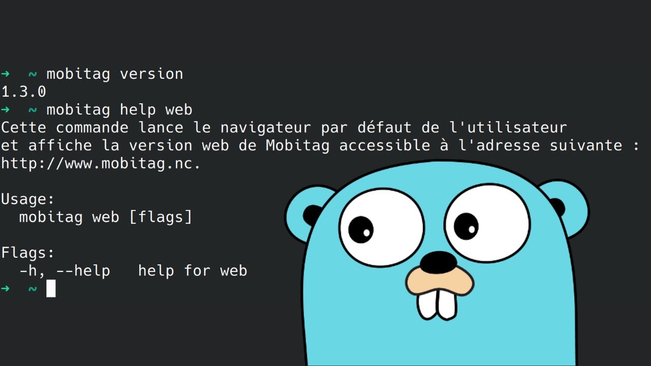 mobitag v1.3.0 : mobitag web command & release pipeline - YouTube