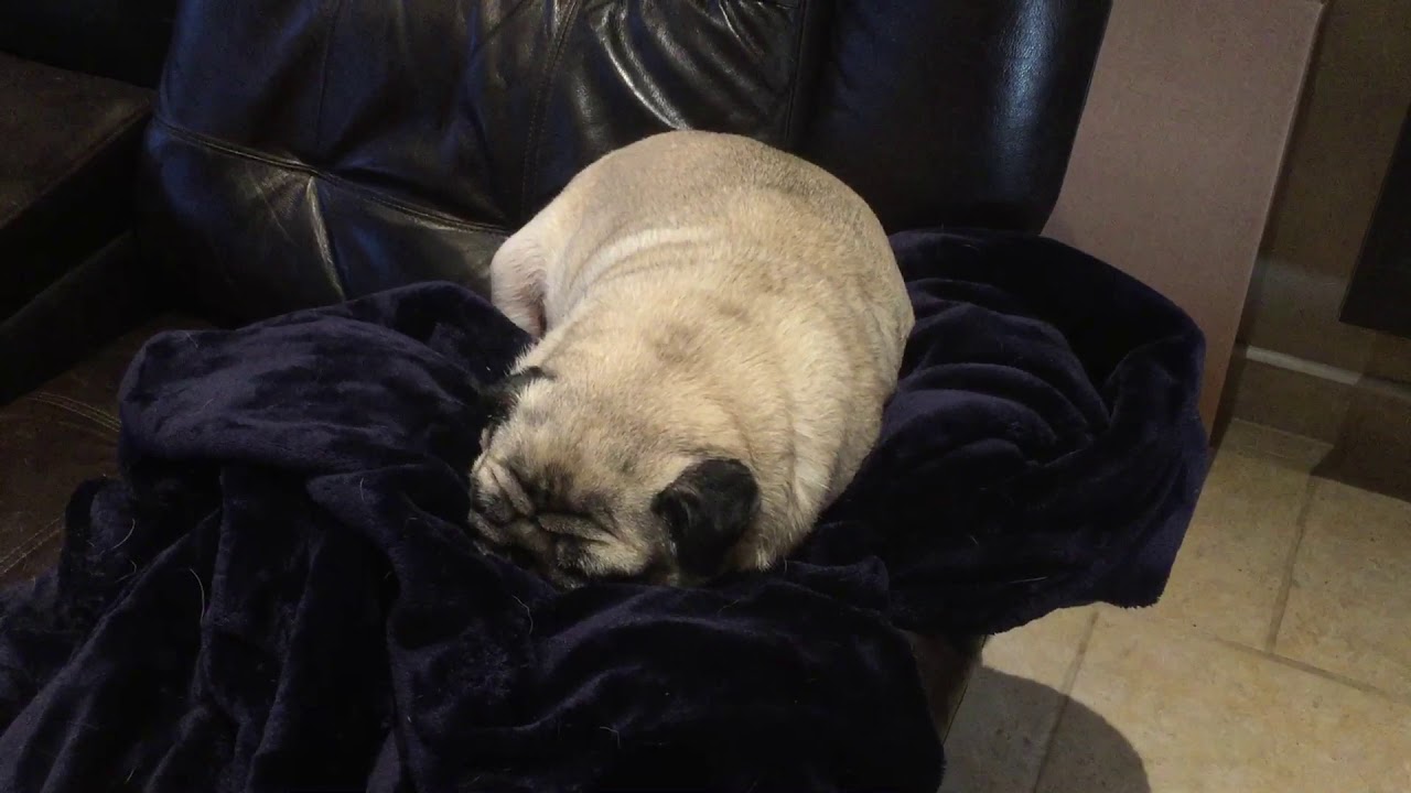 Very sad news about Coco - YouTube