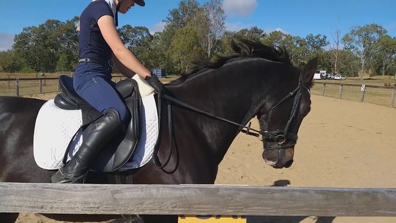 Annabelle Webb riding Salamanca - YouTube