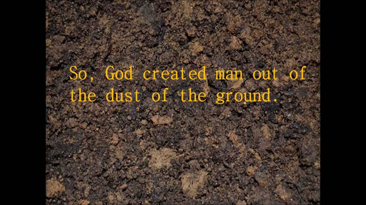 Creation of man and science - YouTube