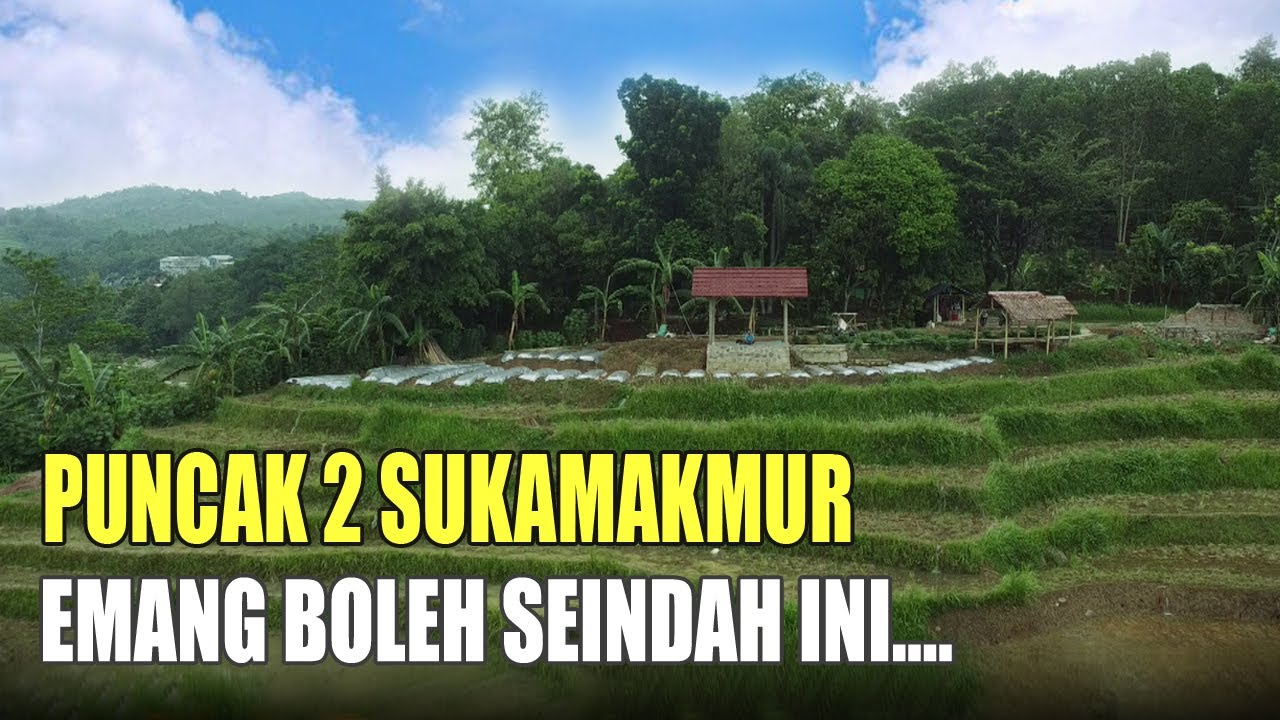 PUNCAK 2 ‼️ INDAHNYA PESONA ALAM DIJALUR PUNCAK 2 SUKAMAKMUR - YouTube