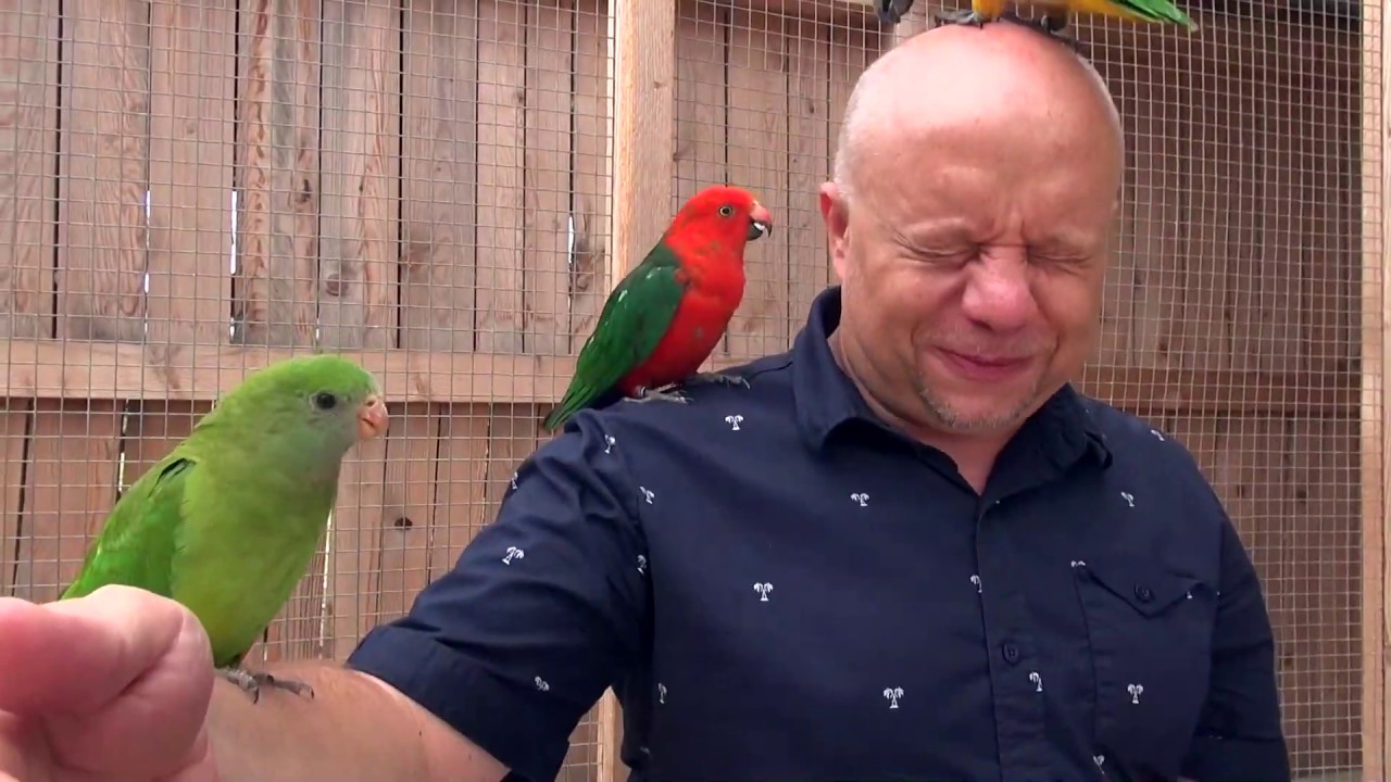 Liptov News: Marián Labuda ml. na Liptove - YouTube