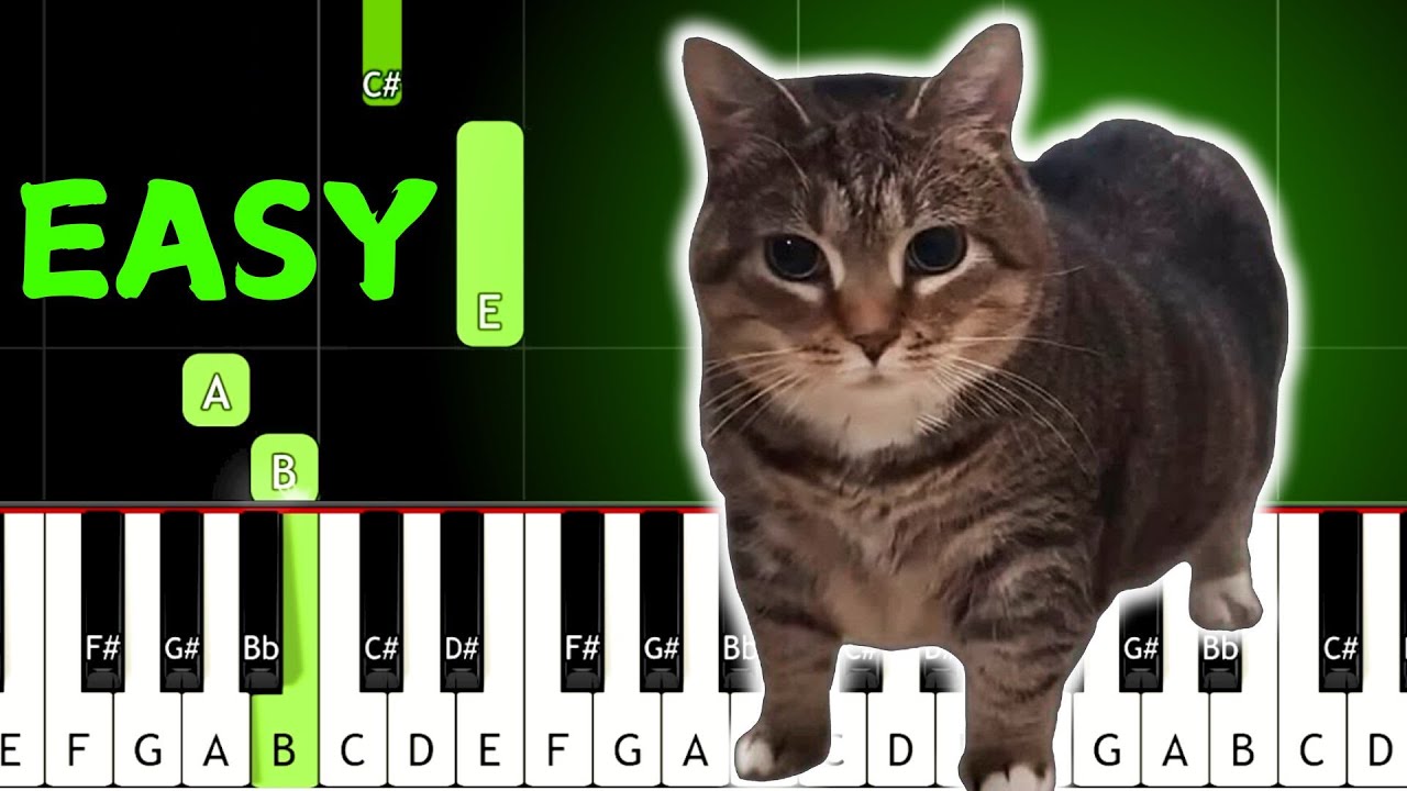 OIIA OIIA - CAT MEME SONG - Spinning Cat - EASY PIANO TUTORIAL - YouTube