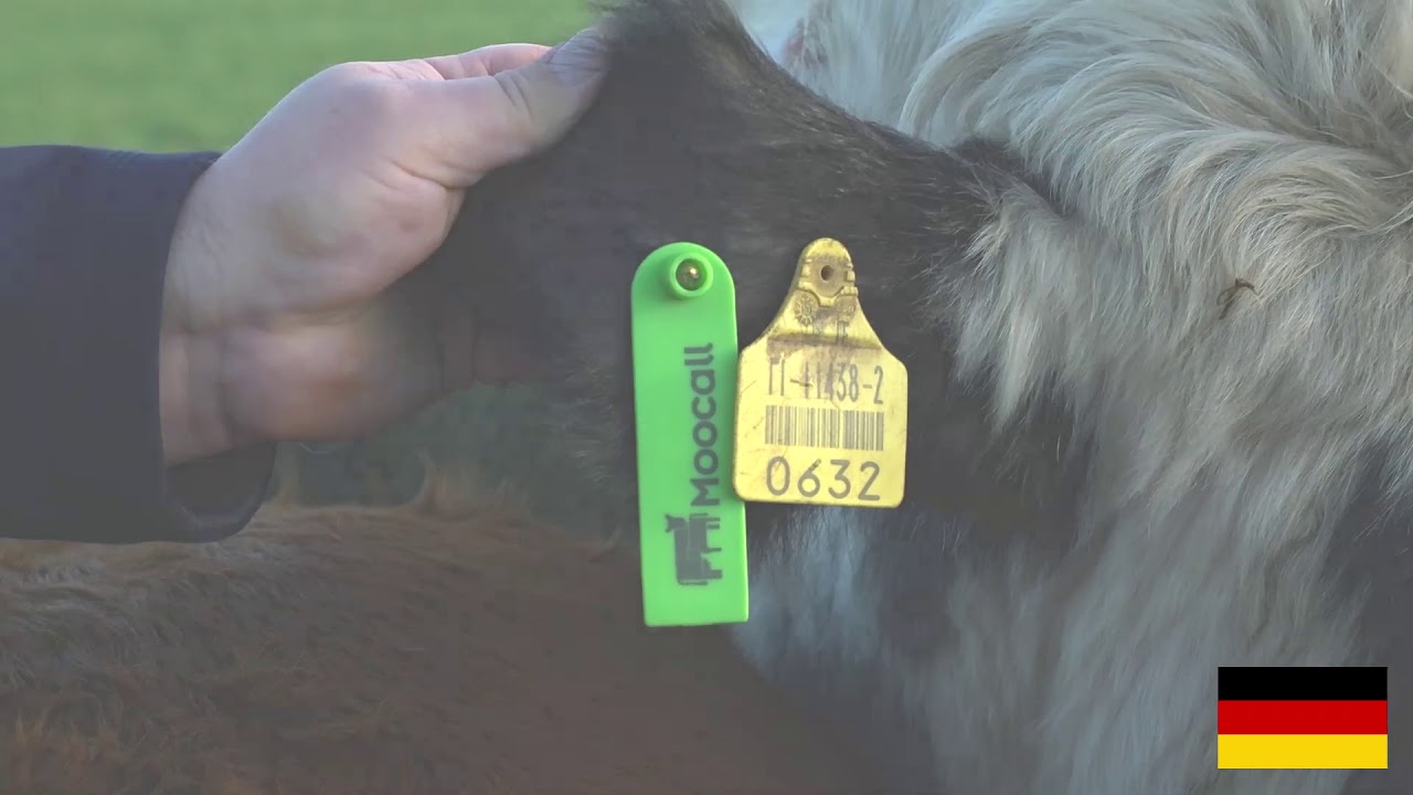 Moocall HEAT benutzerhandbuch - YouTube