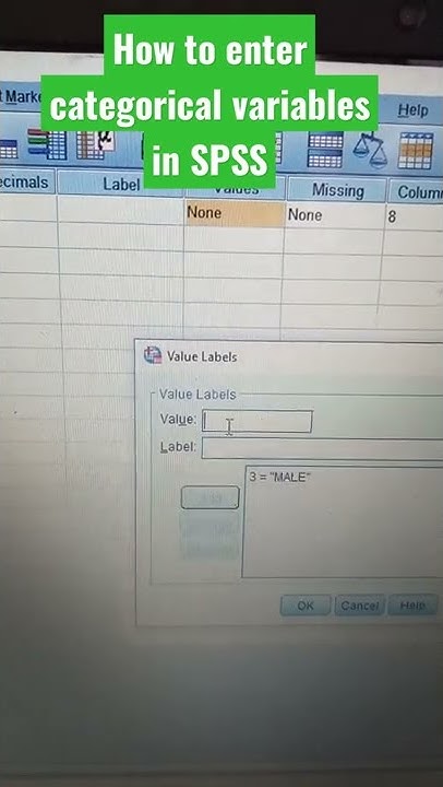 Entering categorical variables in Spss, Example - YouTube