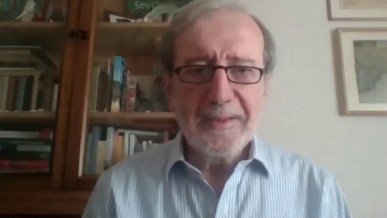 Le propos de Luigi Rizzi - YouTube