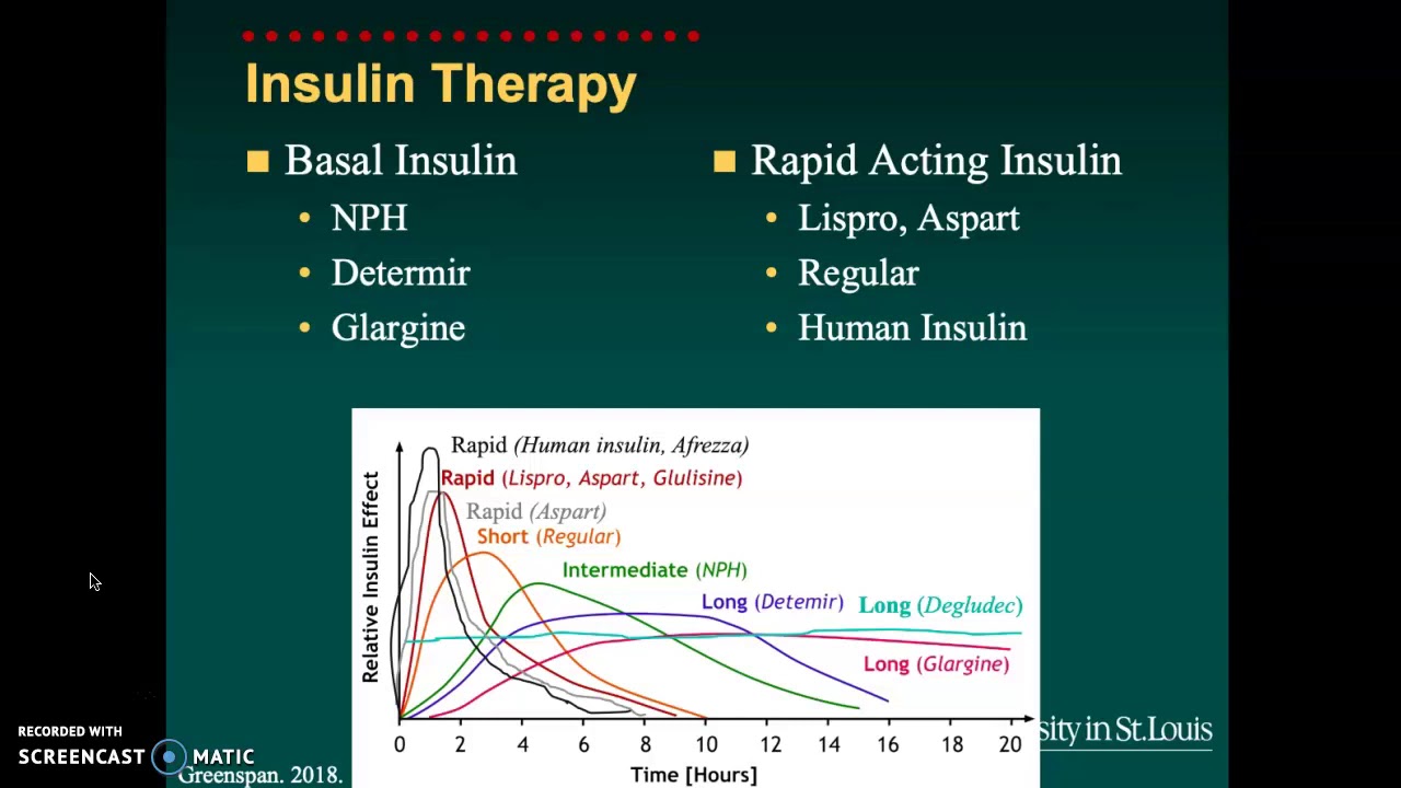 Insulin Types - YouTube