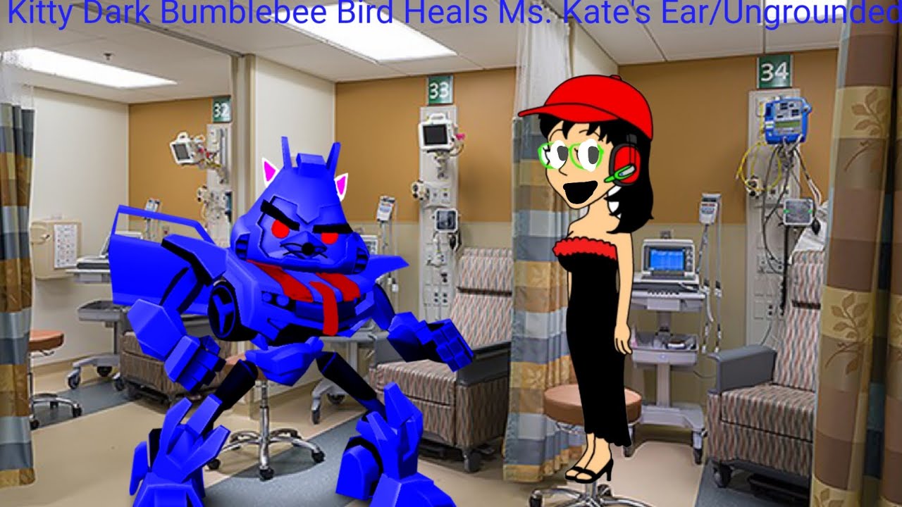 Kitty Dark Bumblebee Bird Heals Ms. Kate's Ear/Ungrounded - YouTube