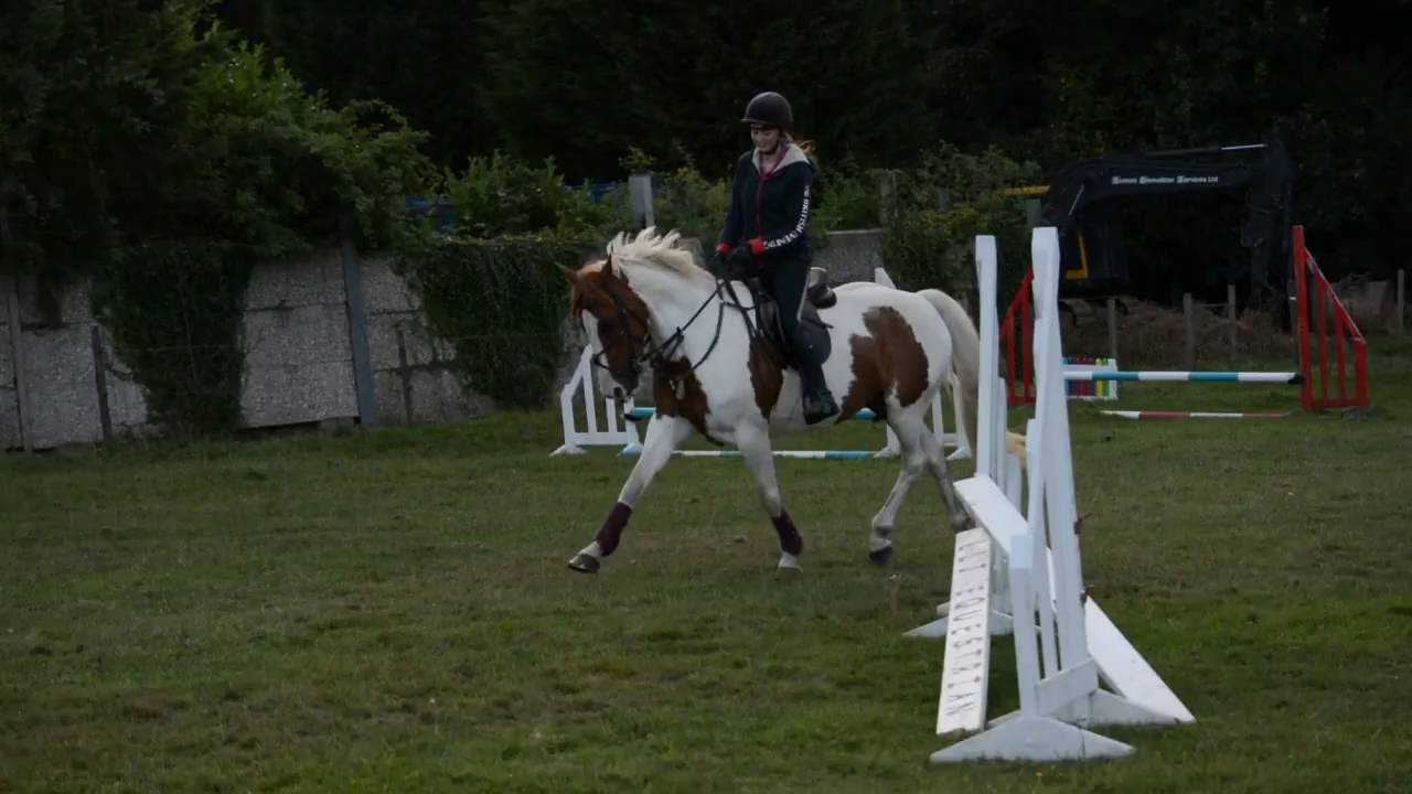 Maddy Medium Trot 8/9/16 - YouTube