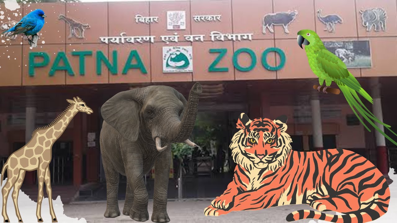 Patna zoo | पटना चिड़ियाघर 2023 | sanjay gandhi biological park | - YouTube