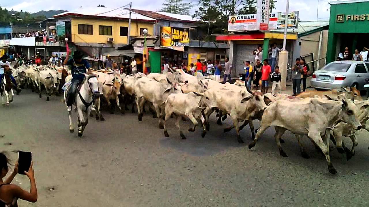 Rodeo masbate 2015 - YouTube