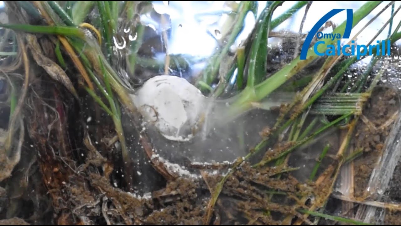 Calciprill soil penetration - YouTube