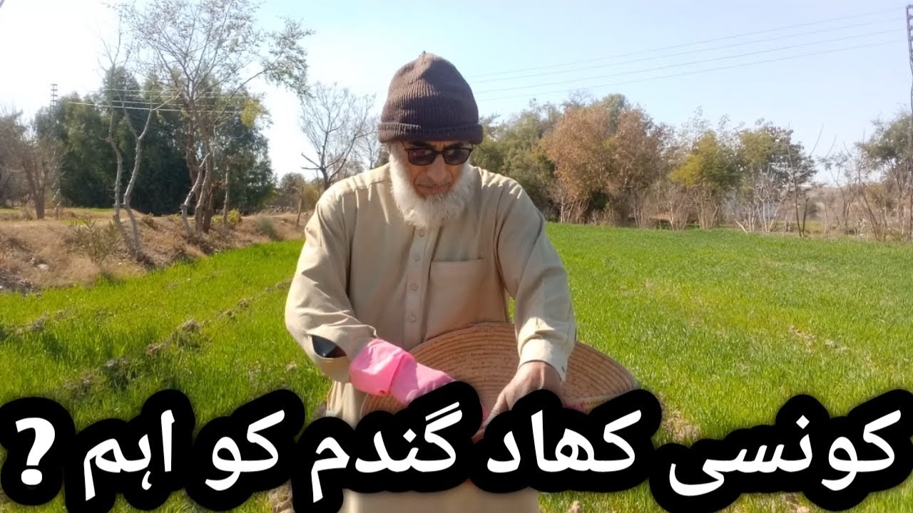 Konsi khad gandam ko Aham hay? bablo bhaya - YouTube