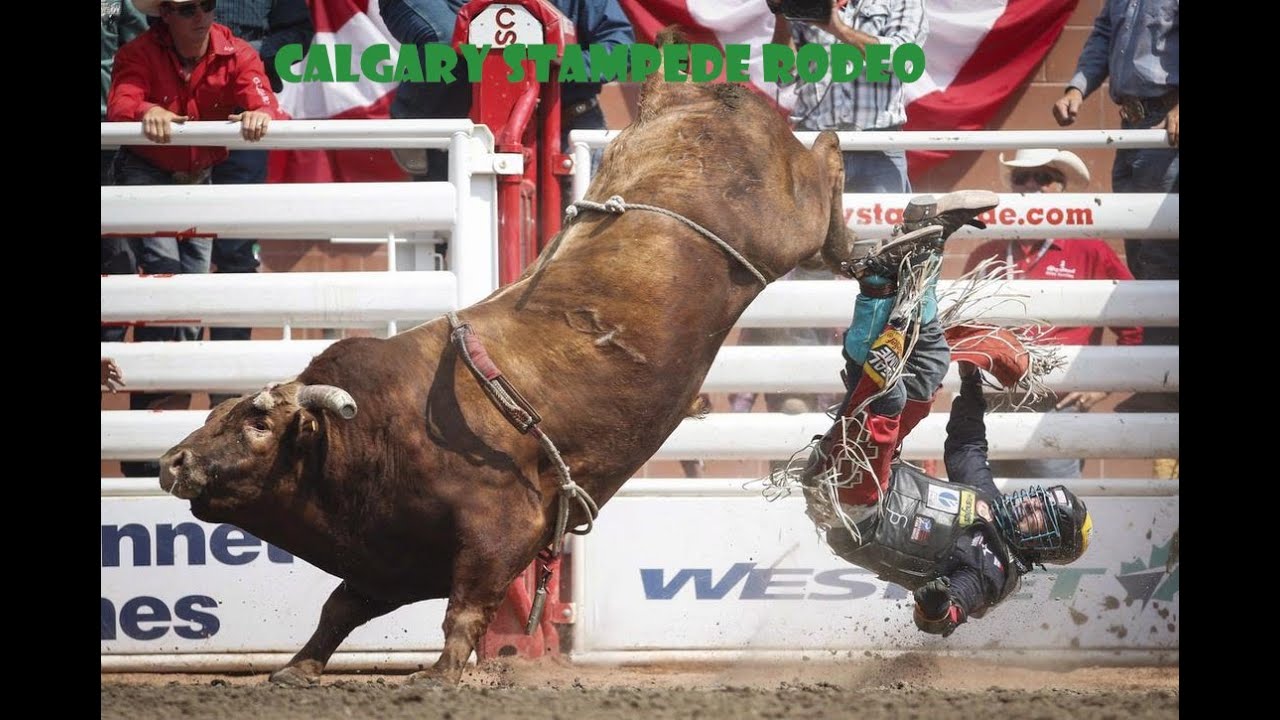 Calgary Stampede Rodeo Greatest outdoor Show on Earth Video HD - YouTube