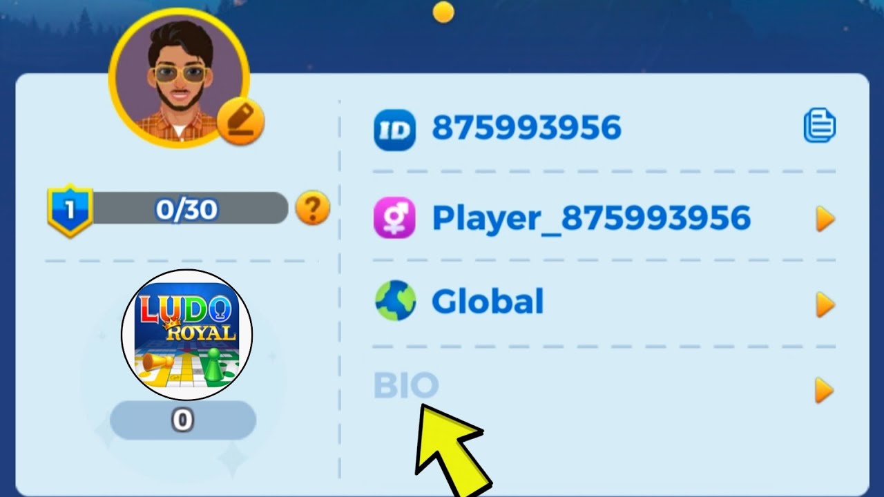 How to Update Your Profile Bio in Ludo Royal Game - YouTube