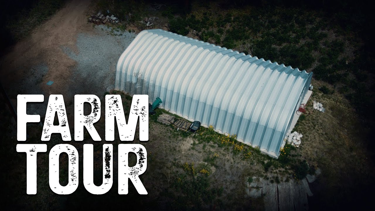 Touring My High-Tech Mushroom Farm in the Mountains - YouTube
