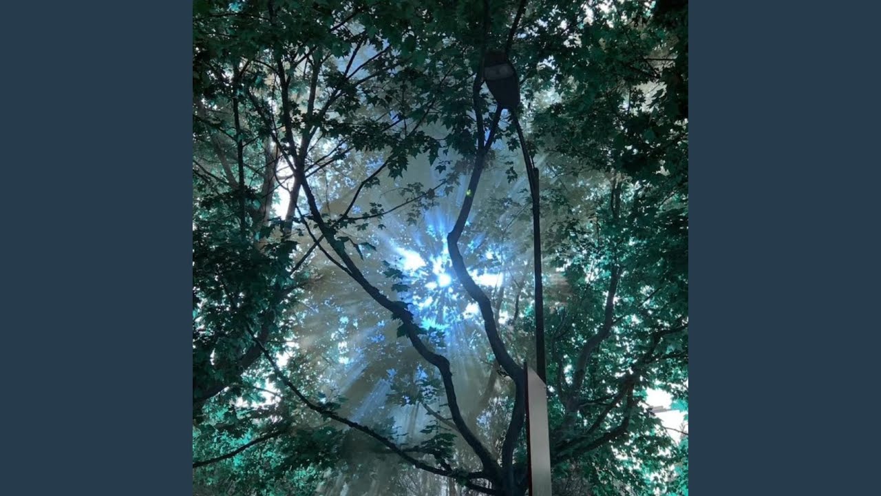 See you around - YouTube