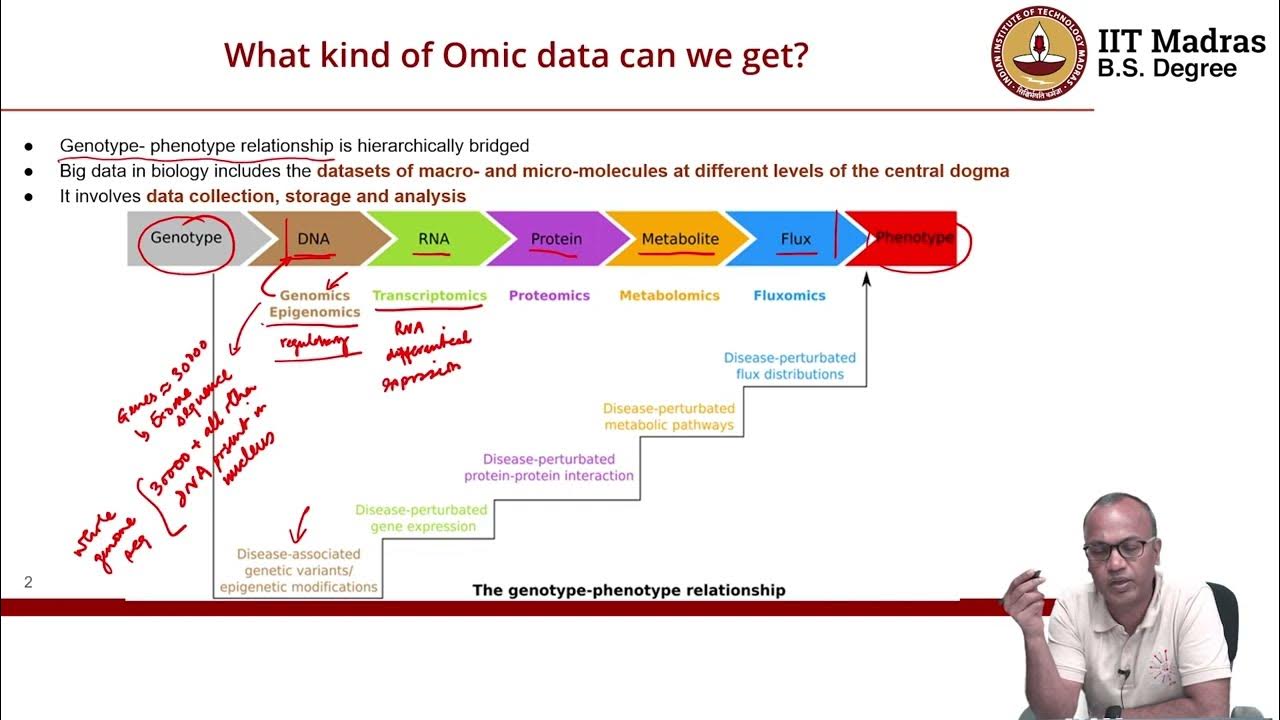 Introduction to OMICS - YouTube