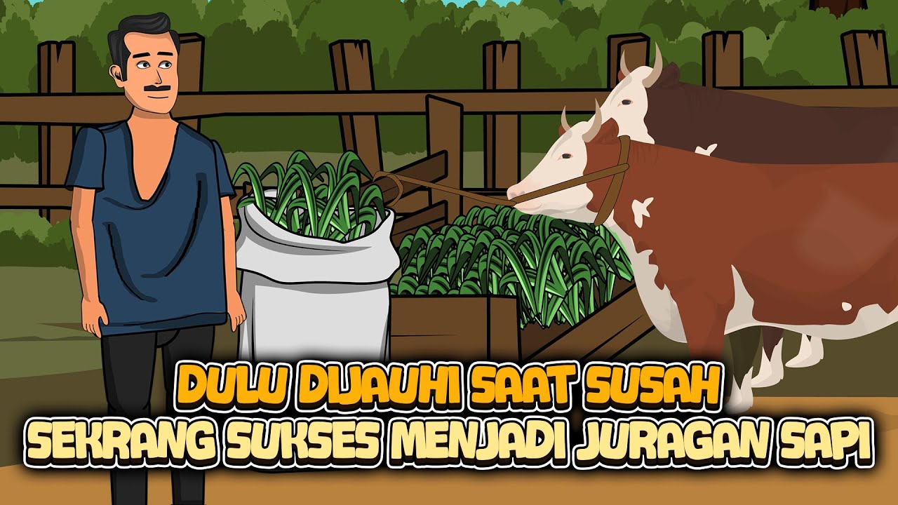 Dulu dijauhi karena miskin sekarang kembali sukses menjadi juragan sapi ...