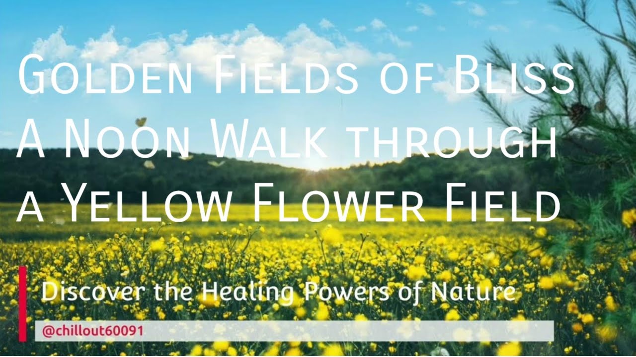 Golden Fields of Bliss | A Noon Walk through a Yellow Flower Field # ...