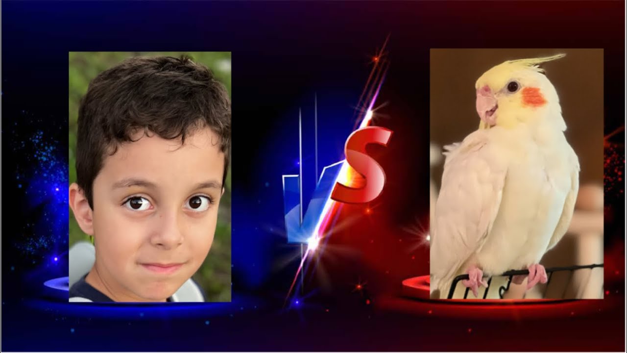 Que adorable momento! ⚙️👦🏻⚙️🐥🐥🐥 - YouTube