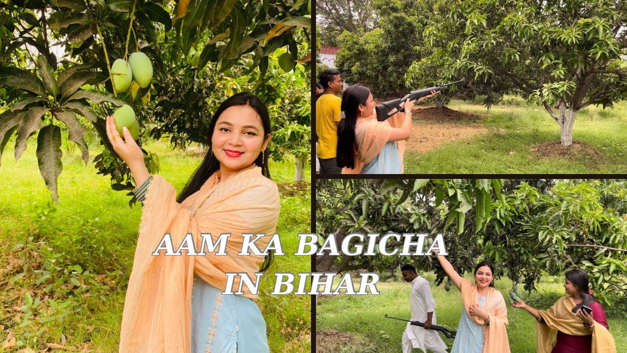 Aam ka Bagicha | Mango Orchard in Bihar | Profit 15 Lakh/yr | 6 बीघा ...