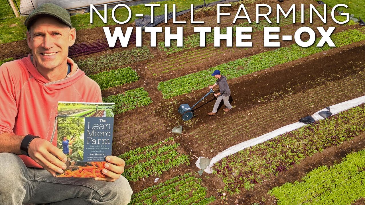 Lean Micro Farming With An E-Ox Electric Wheel Hoe | A Farmer's Story ...