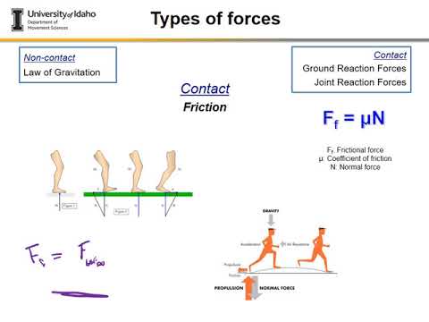 PEP300 _ UofI _ TypesOfForces - YouTube