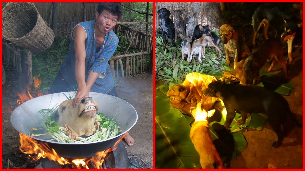 Cooking Cow Head For Dog - Rescue Hungry Dogs - YouTube